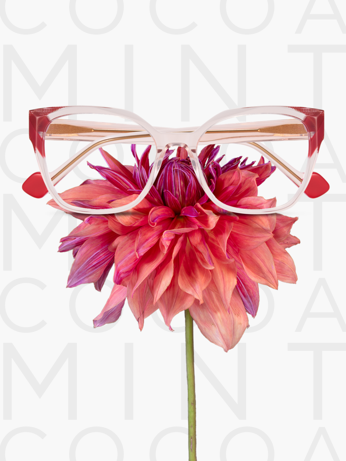 Cocoa Mint - Eyespace